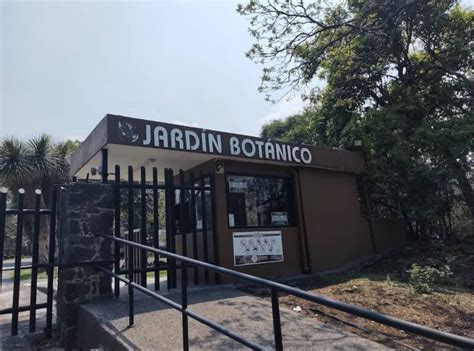 Disfruta Y Descubre Los Secretos Del Pulque En El Jardín Botánico De La