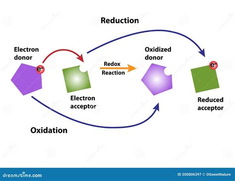Redox Cartoons Illustrations Vector Stock Images Pictures To Download From