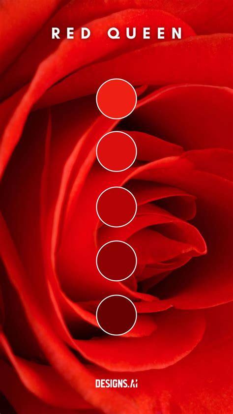Valentines Day Color Palette Red Rose Love Romance Concept Red Color