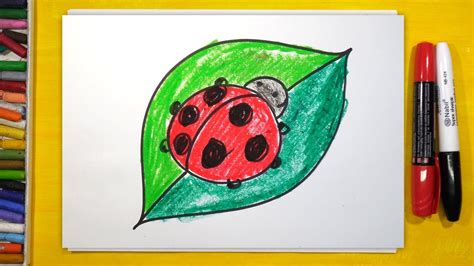 Как нарисовать Божью Коровку Урок рисования для детей от 3 лет Youtube