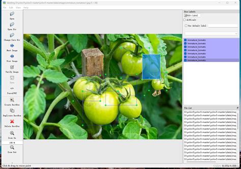 利用yolov5进行西红柿成熟度检测yolov5检测番茄成熟度 Csdn博客
