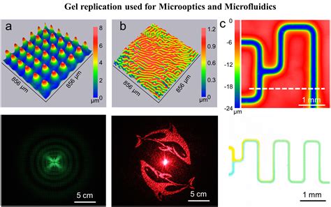 Generation Of Precision Reconfigurable Micromolds For High Resolution Polymer Replication