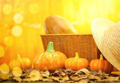 추수 감사절 호박 사진 무료 다운로드 Lovepik