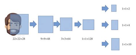 The Network Structure Of R Net Download Scientific Diagram