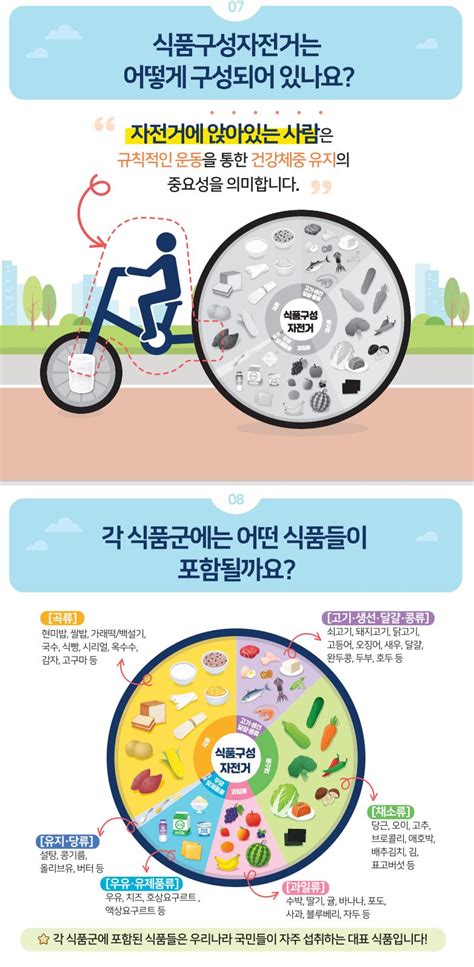 식품구성자전거 [2020 한국인 영양소 섭취기준] 네이버 블로그