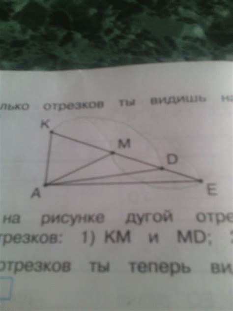 Сколько отрезков ты видишь на рисунке — вопрос №2426079