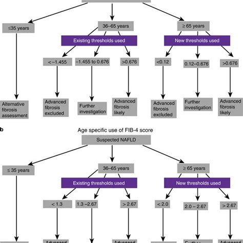 Proposed Algorithm For The Use Of The A Non Alcoholic Fatty Liver Download Scientific Diagram