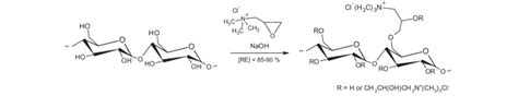 Reaction Scheme Of Cationic Starch Synthesis Download Scientific Diagram