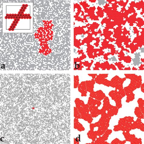 Figure 1 From Correlated Rigidity Percolation And Colloidal Gels