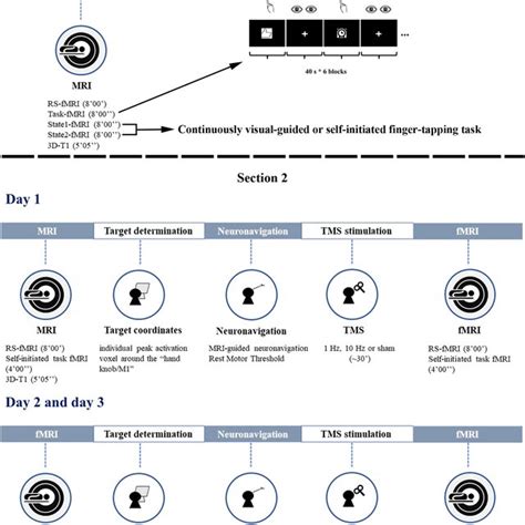 A Schematic Of The Experiment Protocol Fmri Functional Magnetic Download Scientific Diagram