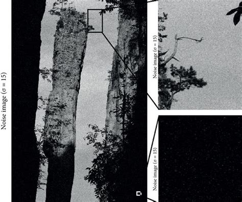 Different Distribution Of Gaussian Noise Image σ15 Download