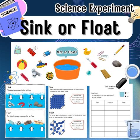 Sink Or Float Science Experiment Fun Activity With Worksheets Etsy