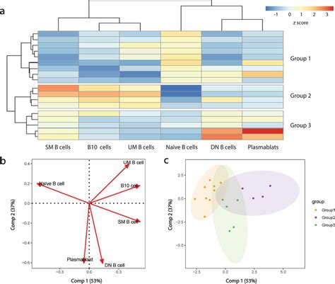 Unbiased Cluster Analysis Of B Cell Subsets In Aosd A Hierarchical