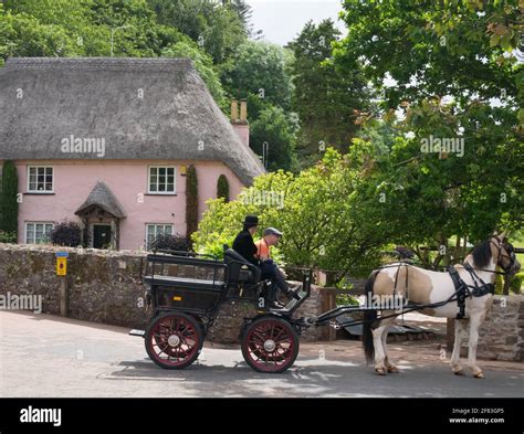 The Picturesque Thatched Village Of Cockington With Its Colourful