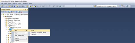 Open The Table Designer