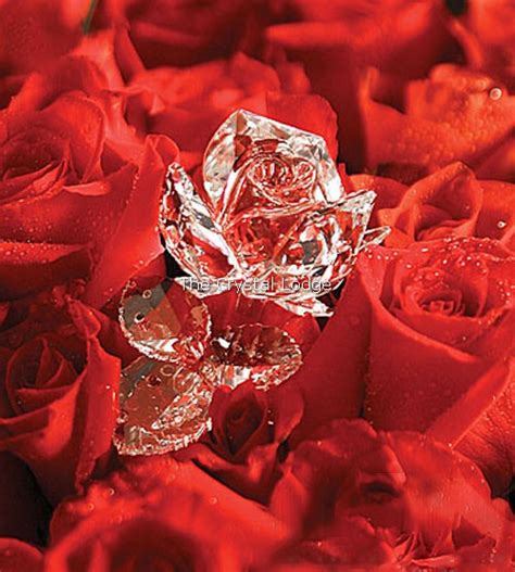 Swarovski Rose 174956 The Crystal Lodge Specialists In Retired