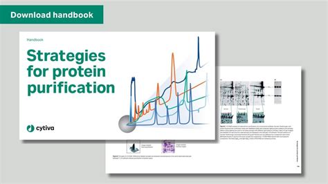 The Latest Strategies For Protein Purification Technology Networks