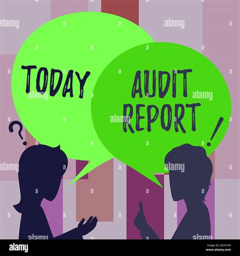 conceptual display audit report business overview an appraisal of