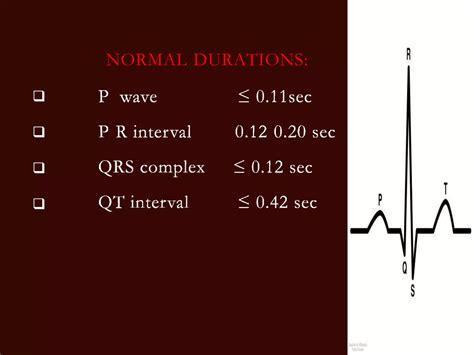 Cardiac Function Test Pptx