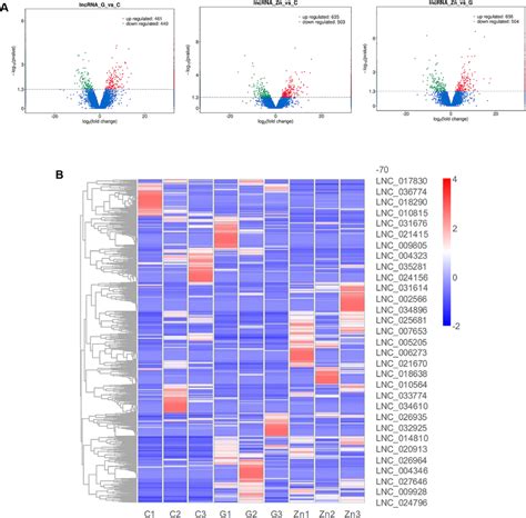 Volcano Map And Heatmap Of Differently Expressed Lncrnas A Volcano