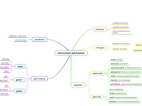 cell structure and function mind map