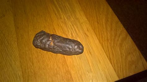 Coprolite Fossil ID The Fossil Forum