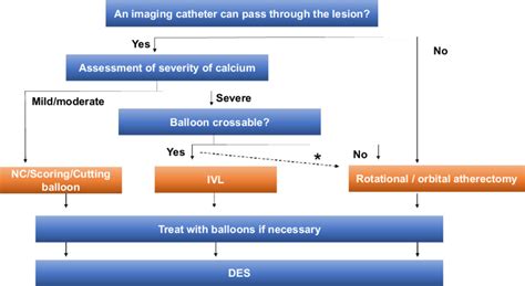 Device Selection Strategy For Calcified Lesions When Download Scientific Diagram