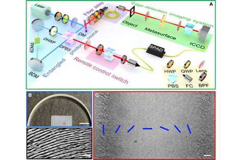 Metasurface Enabled Quantum Edge Detection Statnano