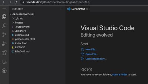 Fragment Opportunities For Using Vscode Dev Hosted Vs Code In The Browser In Distance