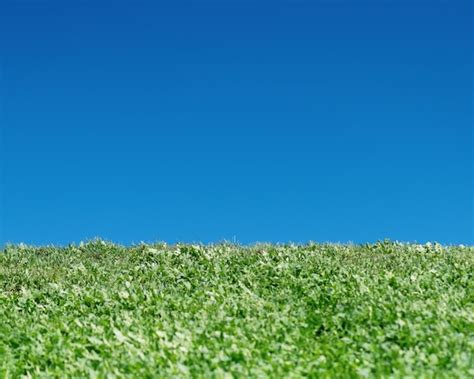 Premium Photo Field Of Green Grass And Blue Sky