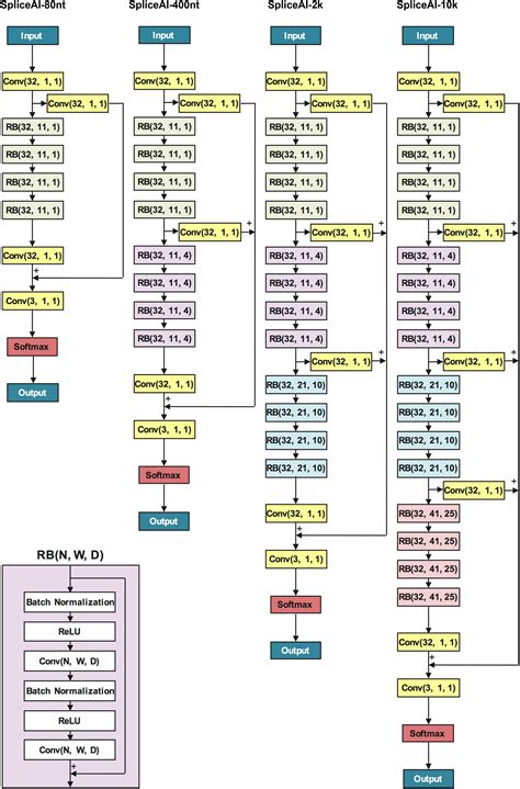 Predicting Splicing From Primary Sequence With Deep Learning Cell