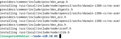 How To Install Nodejs On Debian 12 Linux Genie