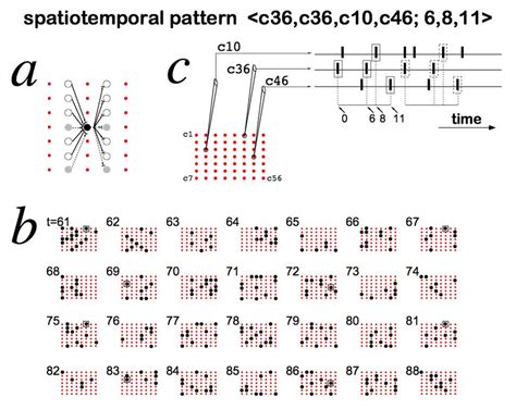 Example Of Spatiotemporal Pattern Detected In A Simulated Chain Of
