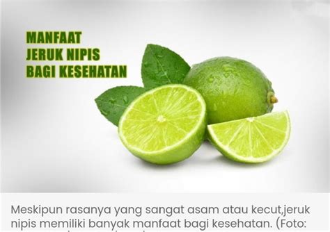 Dahsyat Ini Lima Manfaat Konsumsi Jeruk Nipis Bagi Kesehatan Tribratanews Polda Lampung