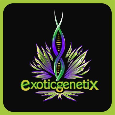 Buy Seeds Online From Seed Cellar For The Best Cannabis