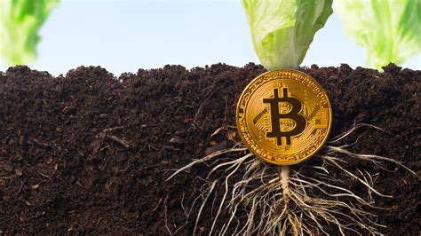 news explorer — kpmg bitcoin report marks a milestone the bitcoin