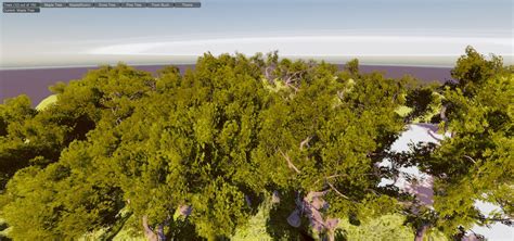 Infinitree Pro Procedural Forest Creation And Optimization