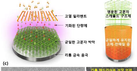 차세대 이차전지 `리튬금속전지` 수명 6배 늘렸다…600 사이클 후에도 안정적 작동