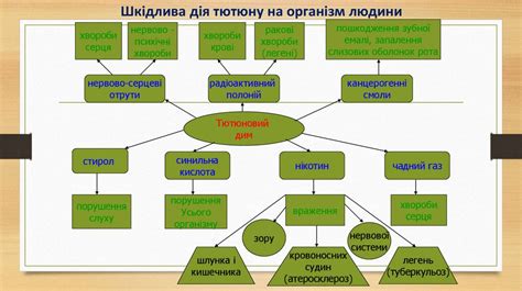 Правда про тютюн алкоголь та наркотики презентация онлайн