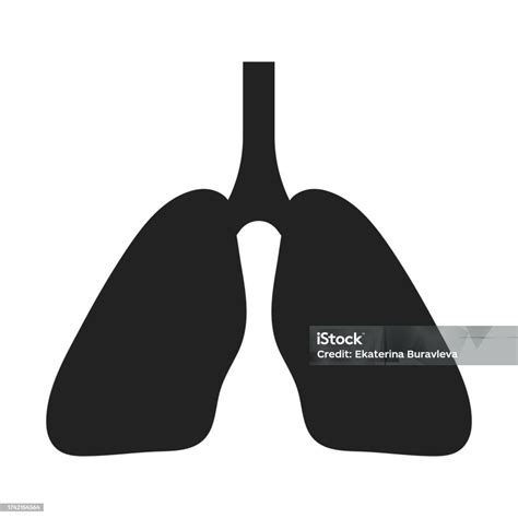 인간의 폐 검은 문자 모양 아이콘입니다 호흡기 시스템 검진 공백에 실루엣 기호입니다 솔리드 픽토그램 0명에 대한 스톡 벡터 아트 및 기타 이미지 Istock