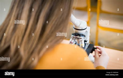 High Babe Female Babe In Biology Class Babe Using Microscope To Examine Samples Stock