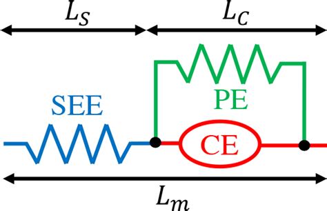 Hill Muscle Model See Is The Series Elastic Element Ce Is The Download Scientific Diagram