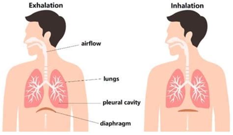 Algorithms Special Issue Hybrid Intelligent Algorithms