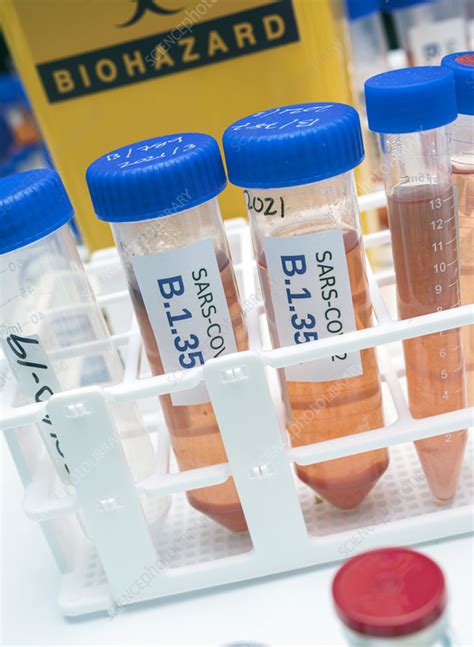 sars cov 2 variant research conceptual image stock image f036 3557