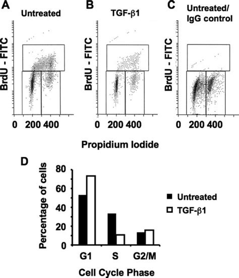 Analysis Of Cell Cycle Position In Mammalian Cells