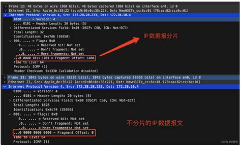 基于wireshark的arp协议分析和ip报文、icmp报文的分析｜网络数据抓包｜课程设计｜traceroute｜ping｜ 背包yu