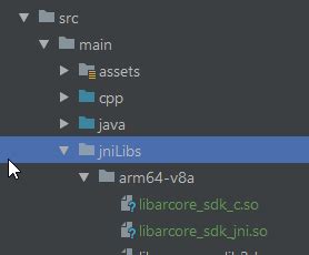 Android More Than One File Was Found With OS Independent Path Lib Armeabi V7a Libarcore Sdk