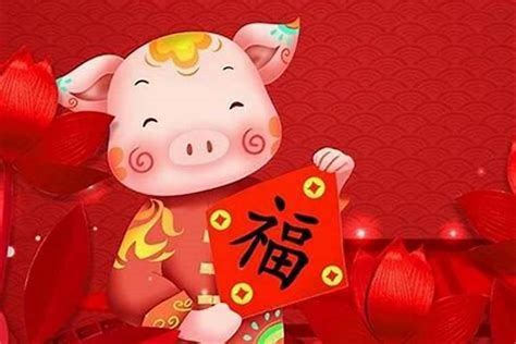 属猪的人2023年运势及运程 2022年属猪人运势怎么样太岁若朴堂文化