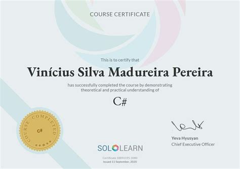 Vinicius Madureira On Linkedin Sololearn Csharp Programminglanguage