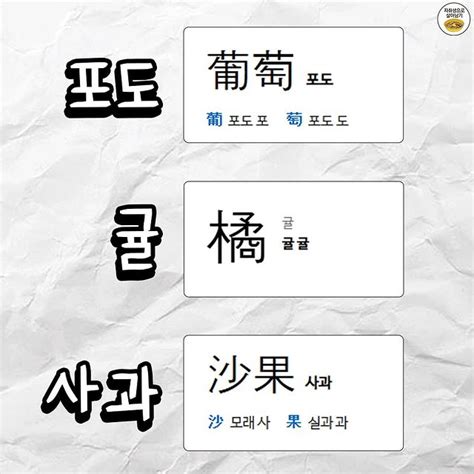 이 세상의 모든 것 모아모아 [정보] 의외로 한자어였던 단어들 총정리 Daum 카페